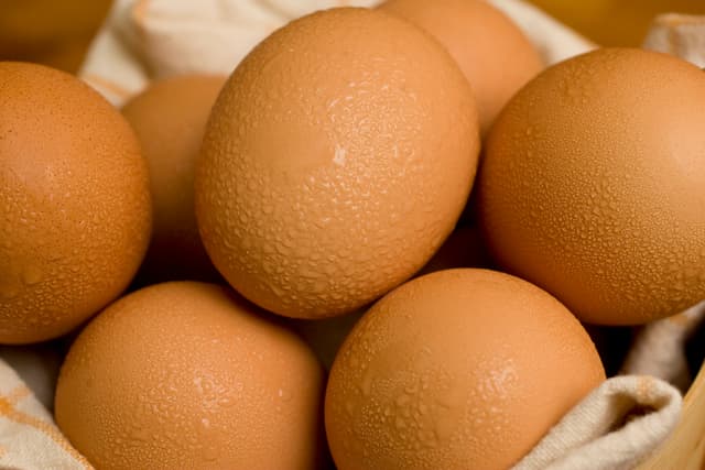Egg Shortages Hit Supermarkets as Bird Flu Decimates Flocks | The New ...