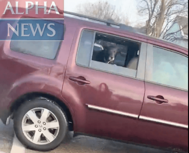 New Video Shows the Deadly Minneapolis Confrontation From the ICE Agent ...